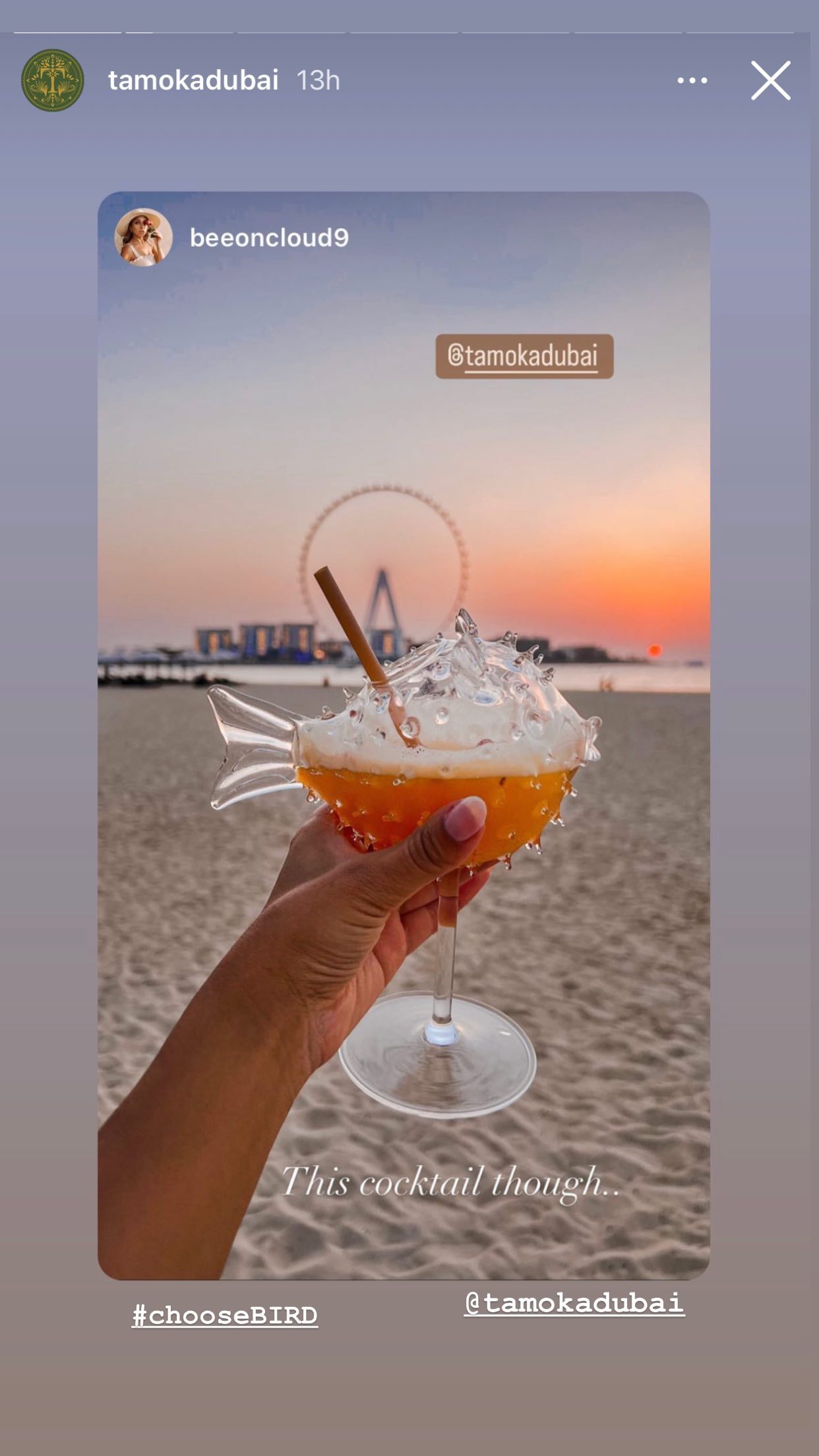 Bird Collaborative — World’s Only Premium Sustainable Straw