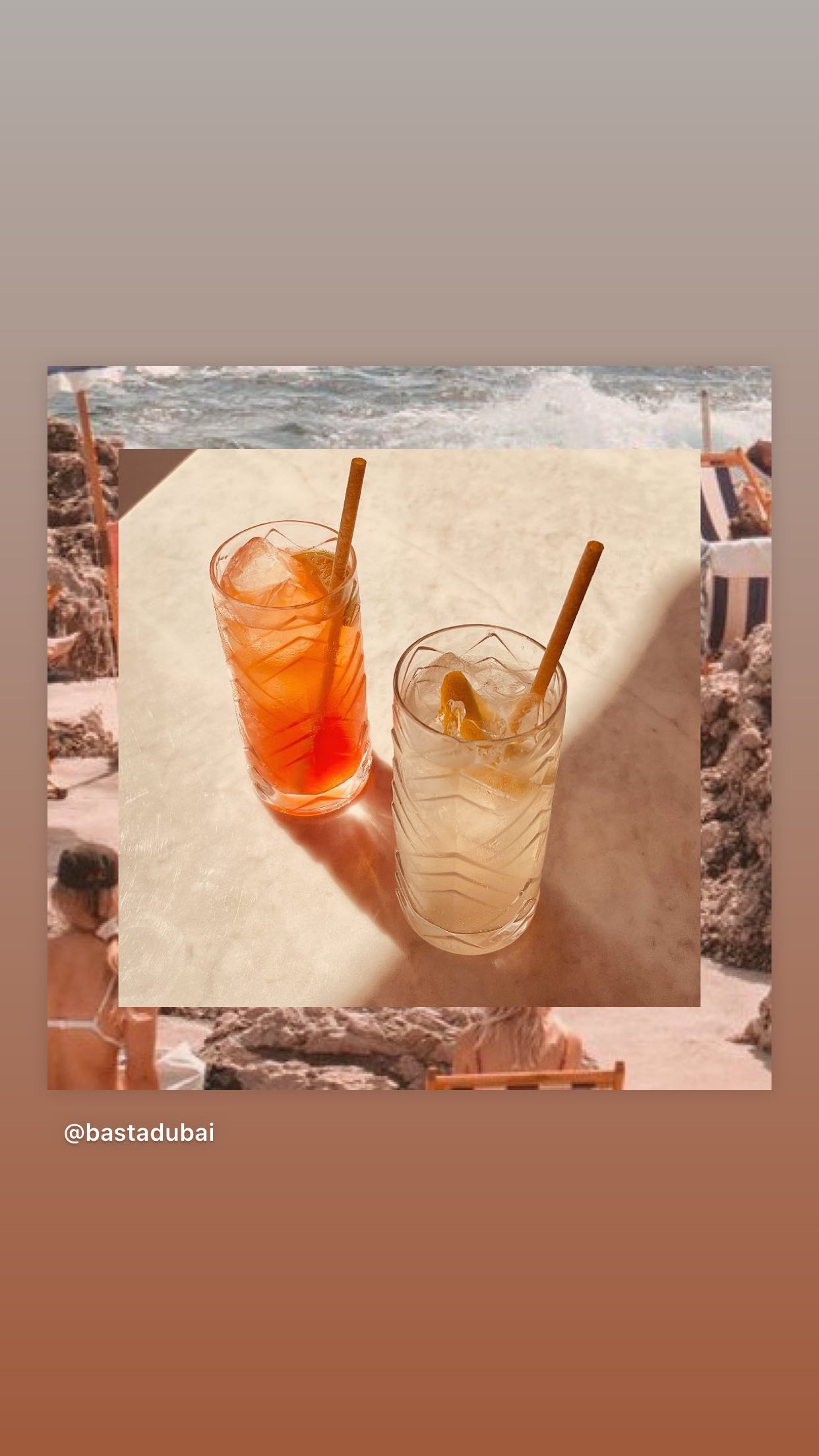 Bird Collaborative — World’s Only Premium Sustainable Straw